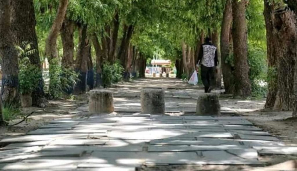 The ultimate guide to the University of Maiduguri (UNIMAID) | Info ...