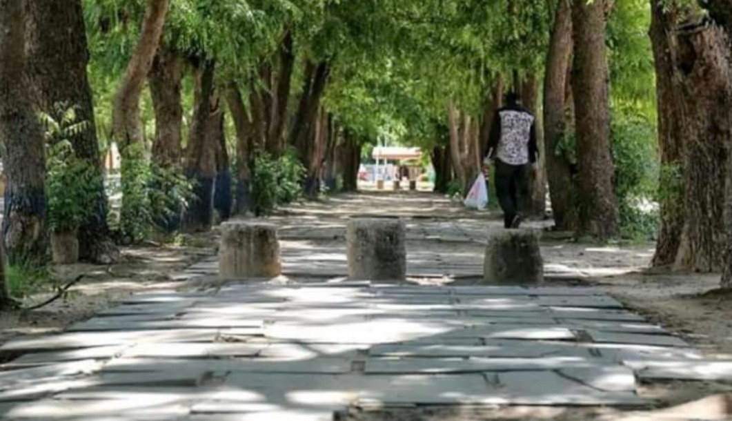 The ultimate guide to the University of Maiduguri (UNIMAID) | Info ...