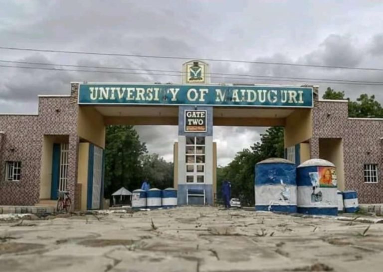 The ultimate guide to the University of Maiduguri (UNIMAID) | Info ...